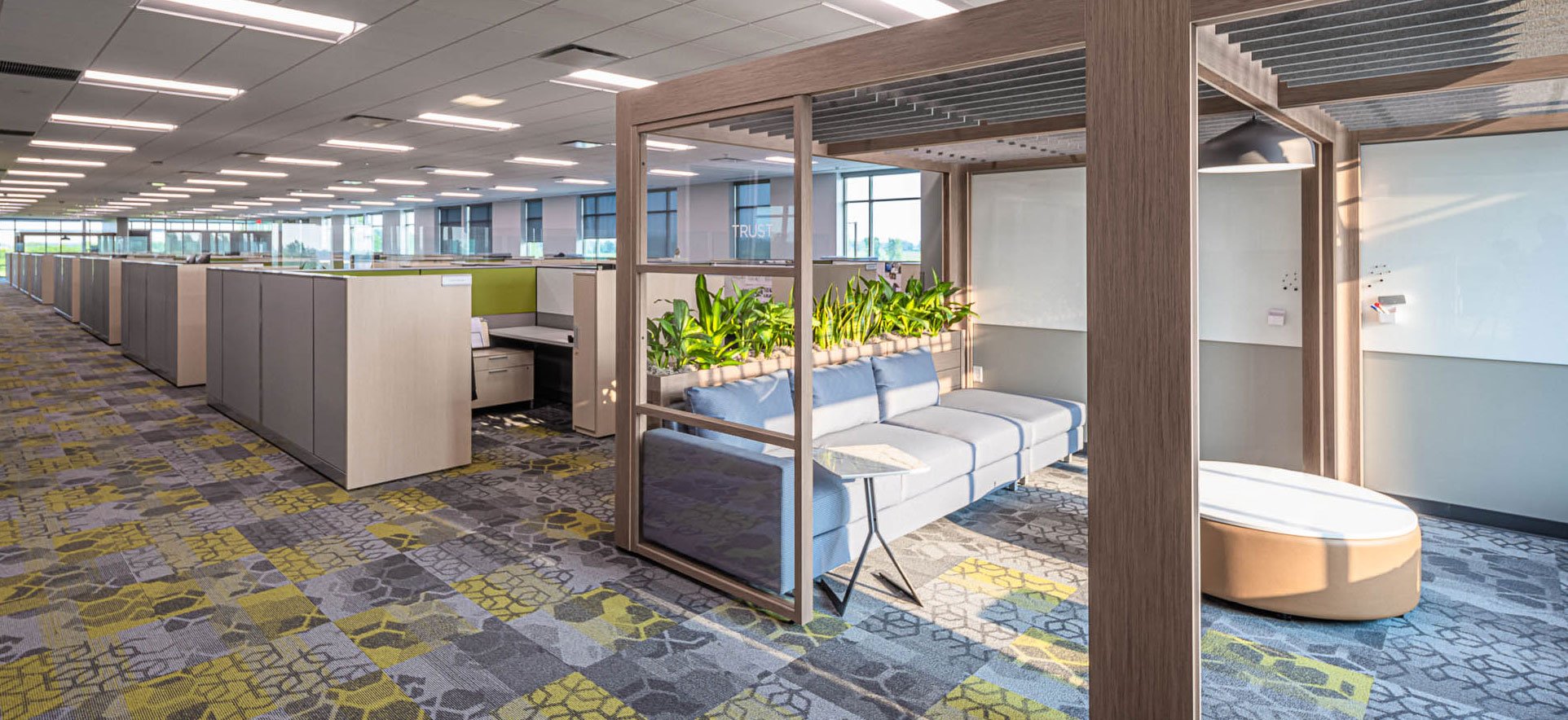 Nature's Way Office Building Corporate Construction Project