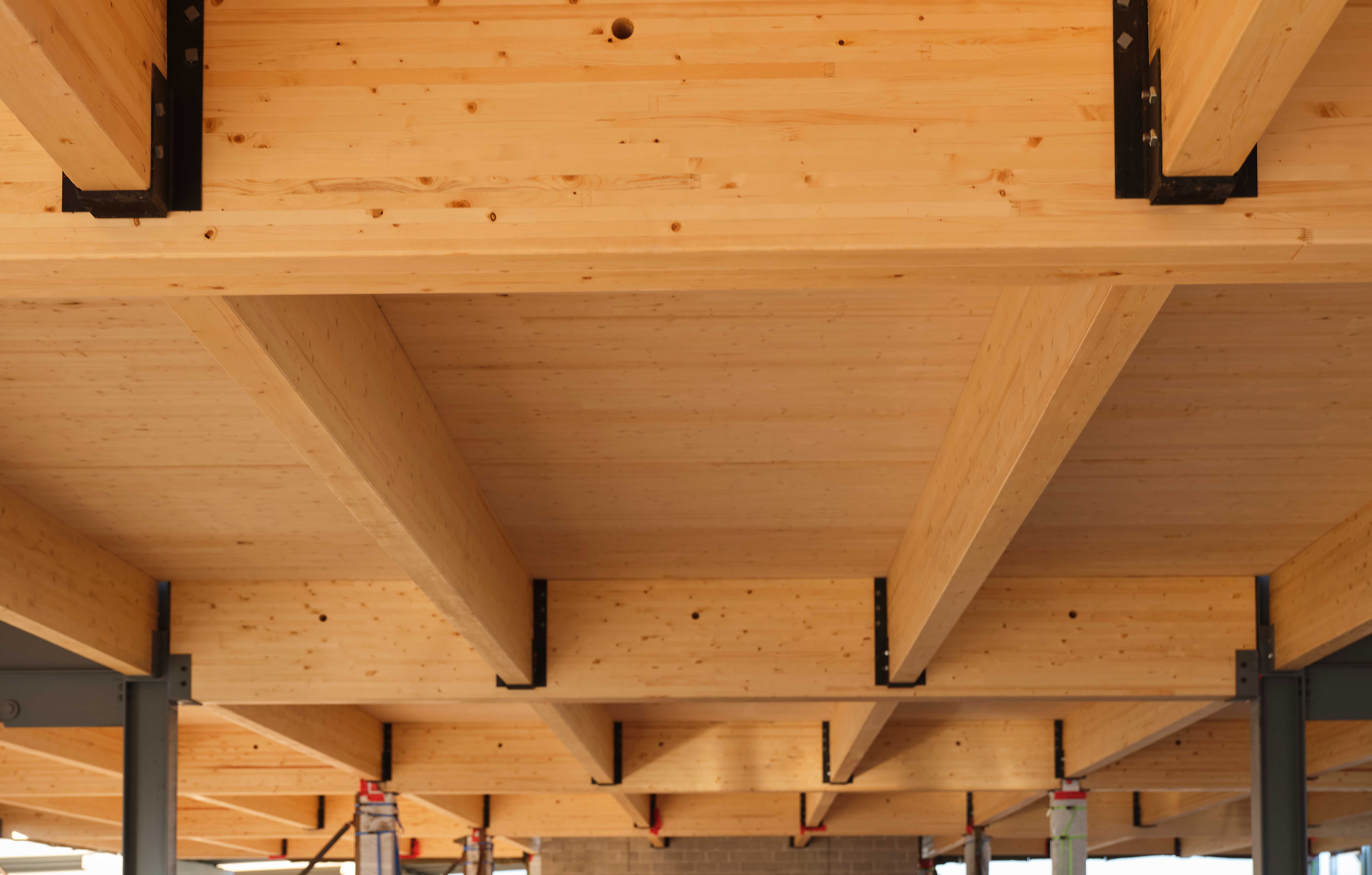 Why You Should Consider Mass Timber Construction For Your Next Project